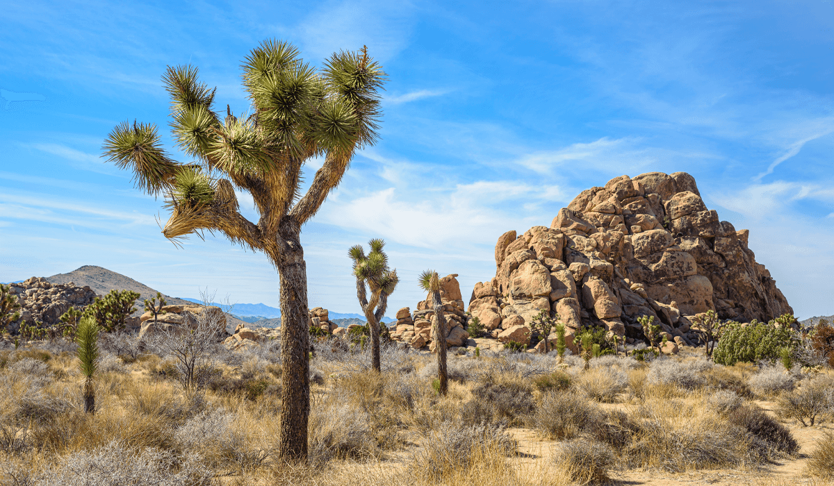 Riverside County Business License | Guide | Simply Business