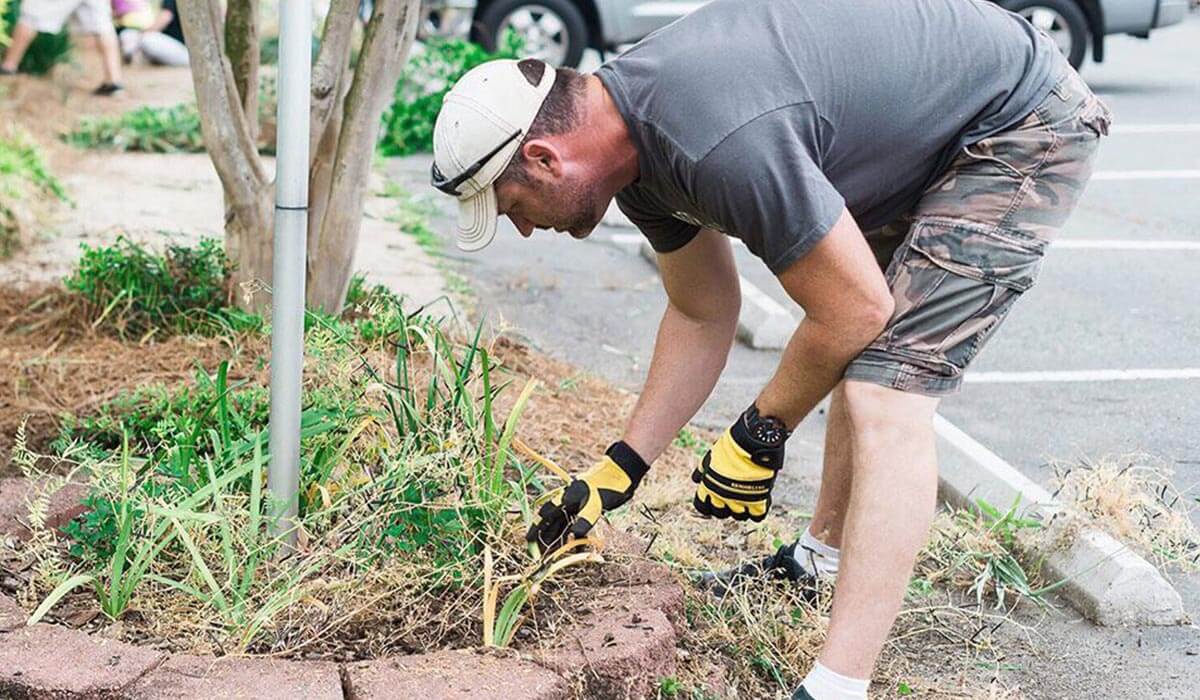 How to Start a Landscaping Business