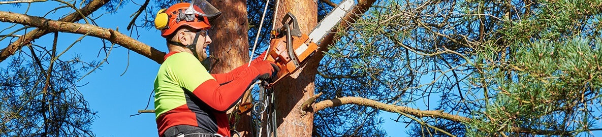 Tree Services Insurance | Simply Business